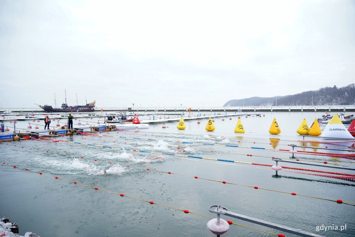 Gdynia Winter Swimming Cup w najzimniejszej odsłonie w historii - GCS